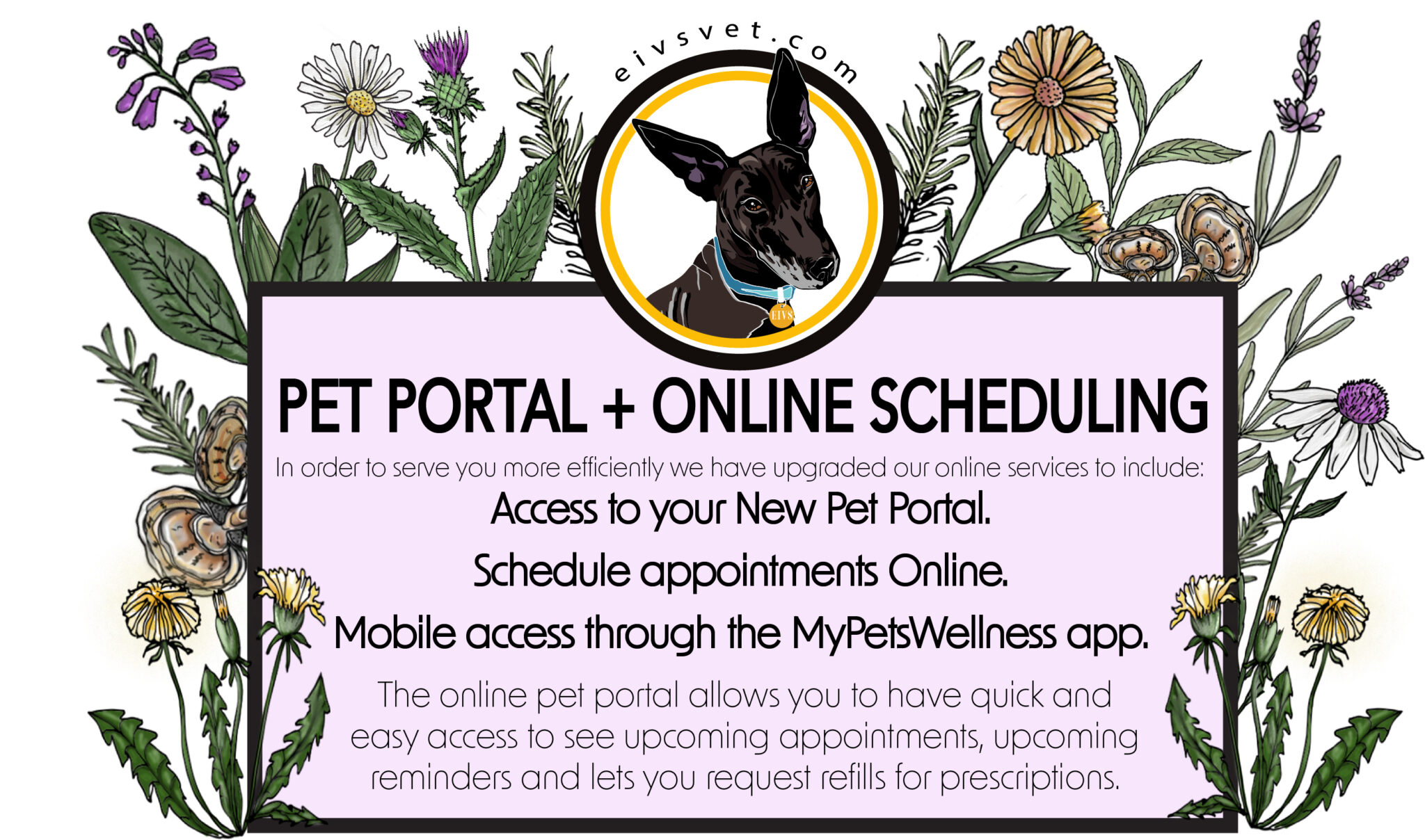 Home - Enabled Integrative Veterinary Services